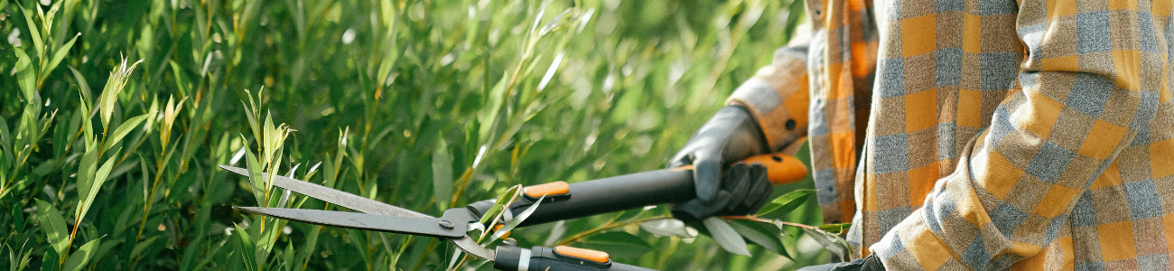 CESU Jardinage : tout savoir en 2025 | Elagage.com